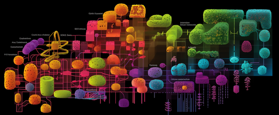 Current Projects - Ignea Lab