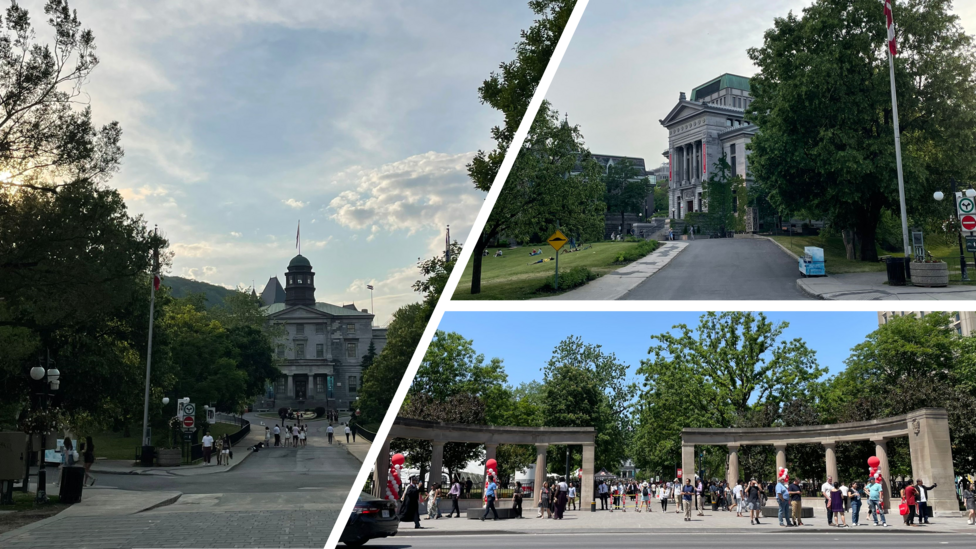 Our Story - Ignea Lab